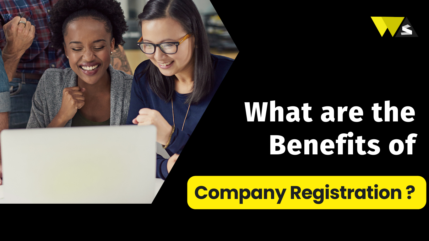 What are the benefits of Company Registration? - Whizseed